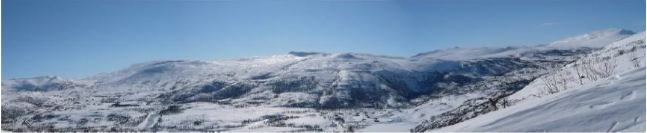 Spørjeundersøking om hyttebygging i Sysendalen - Eidfjord kommune